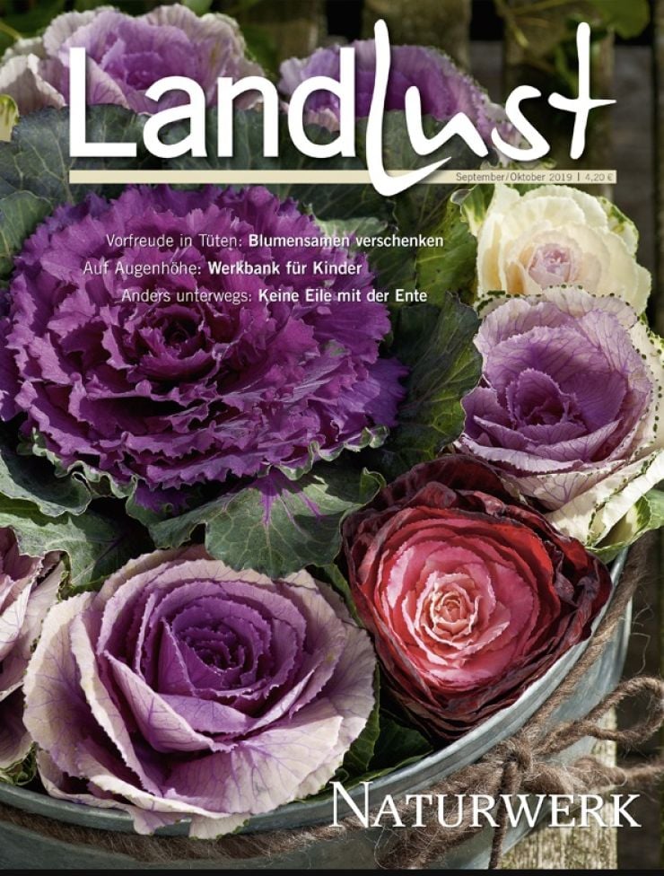 Landlust Abo für 31,80 € mit 5,00 € Amazon-Gutschein bestellen - Abo24