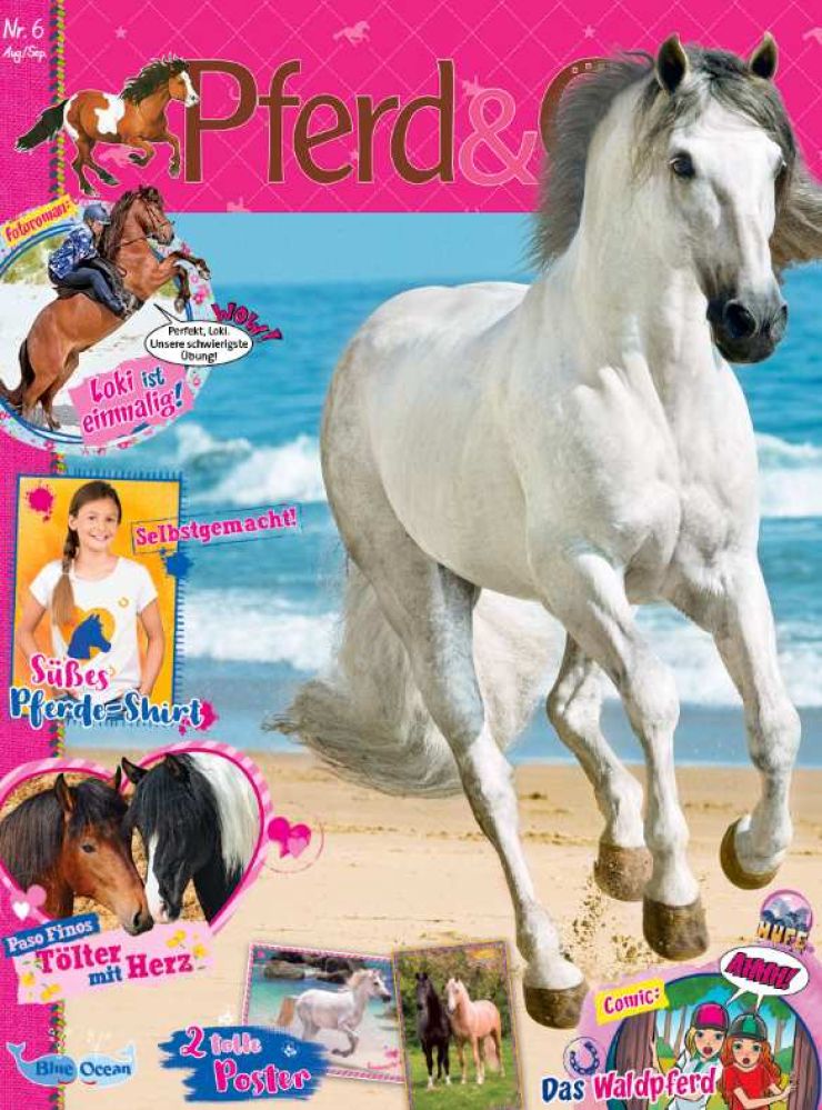 Pferd & Co. Abo für 44,00 € mit 13,20 € Rabatt bestellen - Abo24